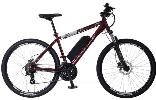Mountain Bike Frame Electric Bikes – Nationwide e-Bikes